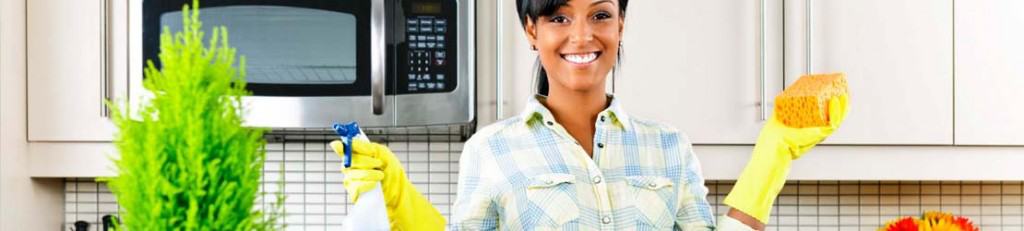 Grand ménage |Montréal-Laval-Longueuil - Le Chiffon Vert